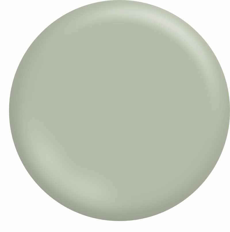 Light Sage Green Color Swatch 10 Colors That Go Well With Sage Green