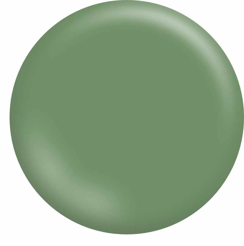 MOSS RING – Warehouse Paint