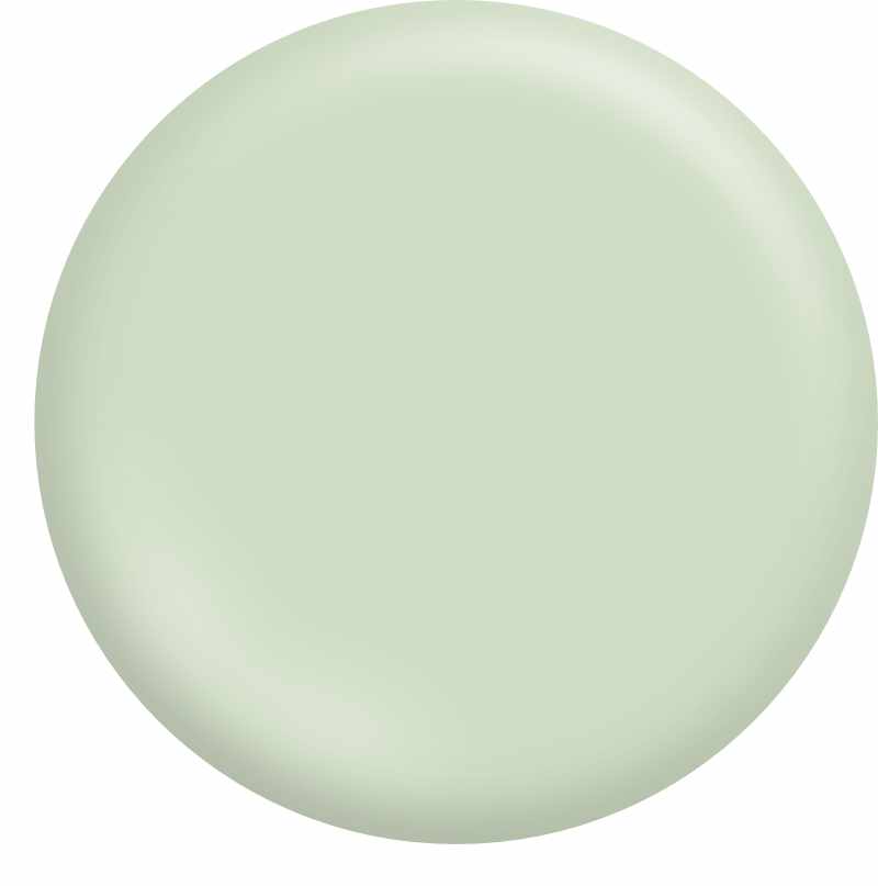 Light Moss Green Paint Colors